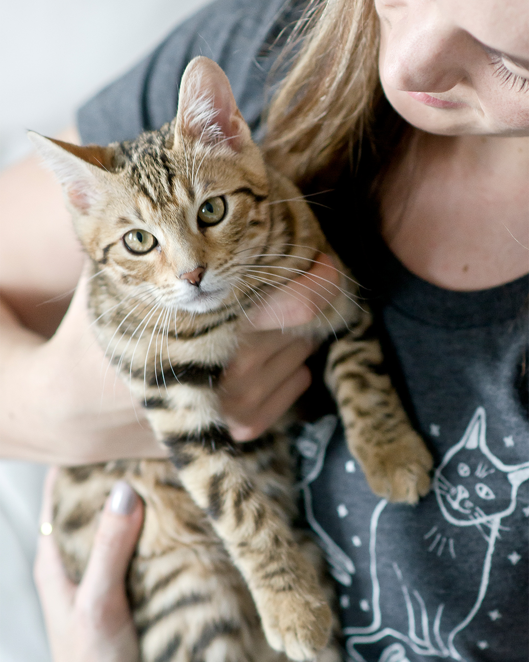 Oh My Cat gets the pawty started with an online boutique connecting ...