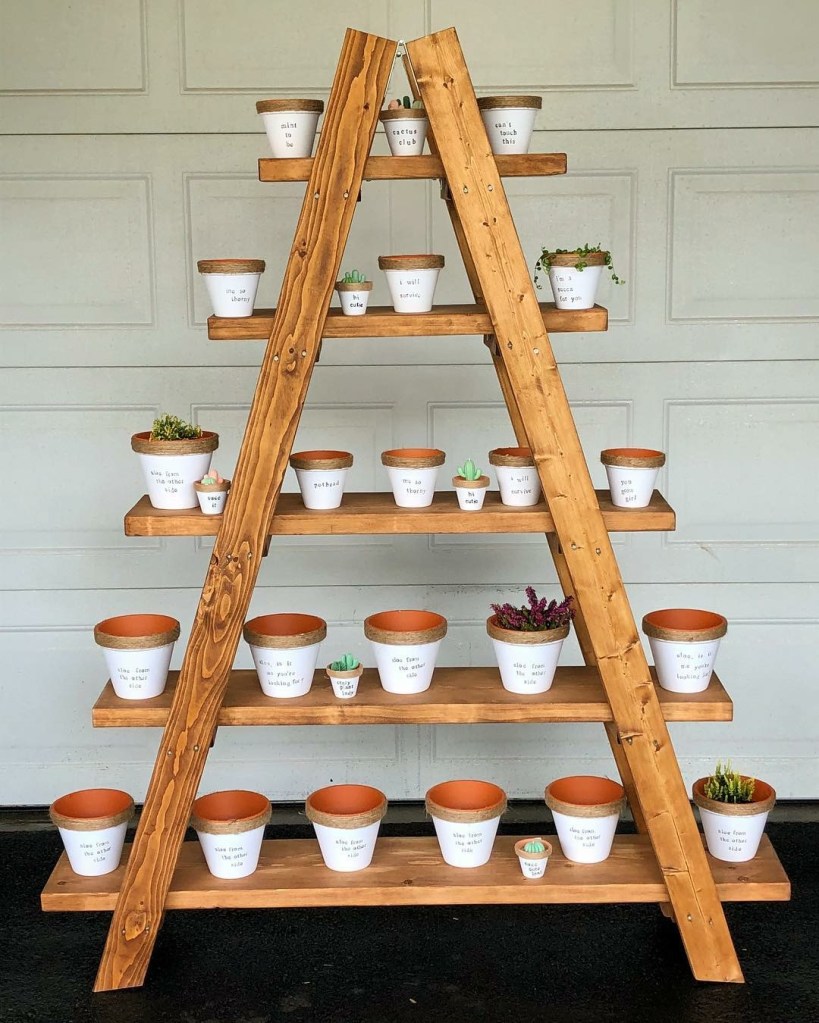 So Fresh and So Green: Vancouver’s Crack Pots brings puns and plants to ...