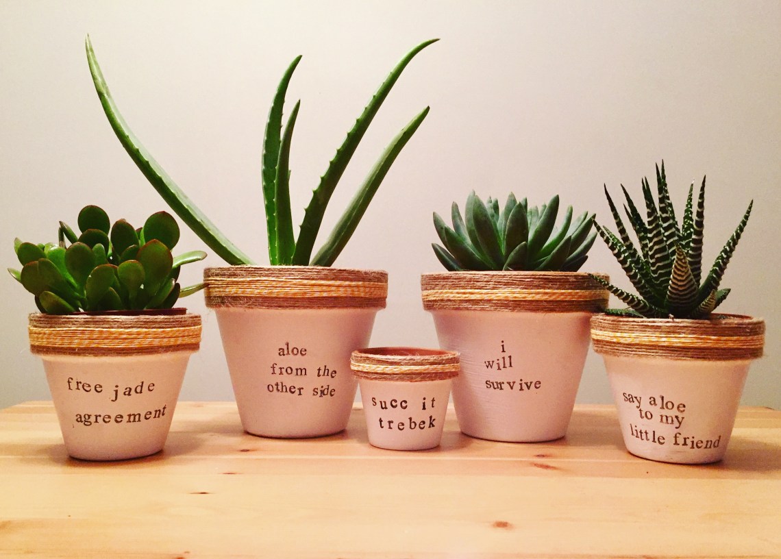 So Fresh and So Green: Vancouver’s Crack Pots brings puns and plants to ...